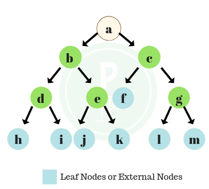Trees in Data Structures (Introduction) » PREP INSTA