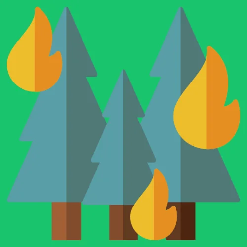 Python program for Forest Fire problem | TCS CodeVita | PrepInsta