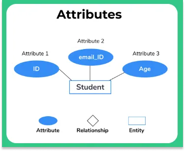 Entity Relationship Diagram in DBMS | DBMS | PrepInsta