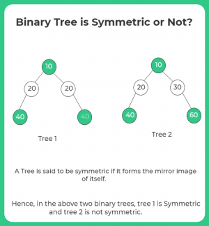Check whether tree is Symmetric in C Language | PrepInsta